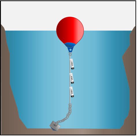 Environmental Monitor Pme Minidot Logger Plunge Into Data