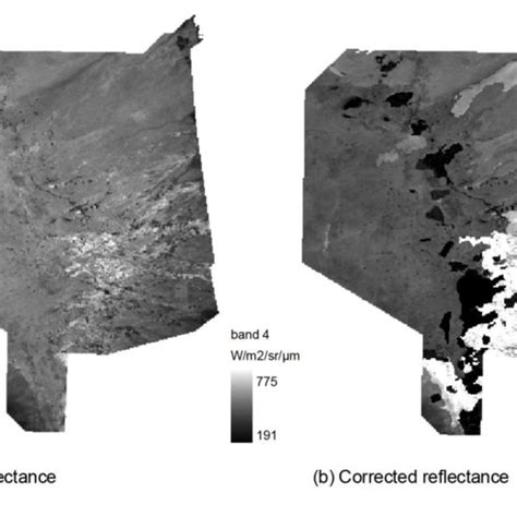 Comparison Of Reflectance A Before And B After Correction Download Scientific Diagram