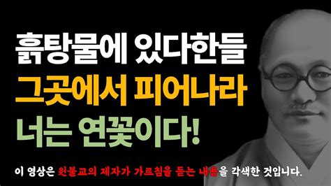 나는 그대들에게 연꽃처럼 살아가라 권하노라 원불교 명언 마음공부 인생철학 성장마인드 자기계발 성공습관 정신수양 동양철학 오디오북