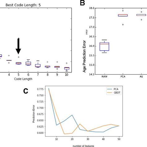 Estimation Of The Gae Code Length And Accuracy Of Age Prediction We Download Scientific Diagram