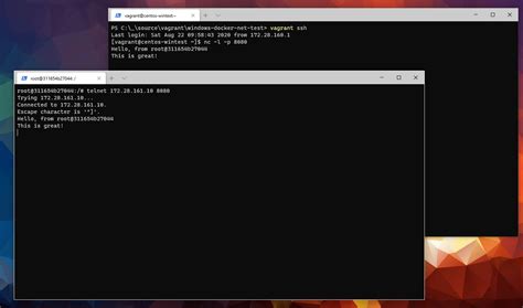 docker wsl2 and hyper v guests