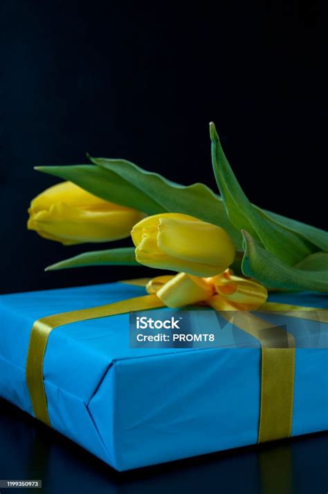 검은 색 배경에 축제 리본과 노란색 튤립으로 묶인 파란색 상자 0명에 대한 스톡 사진 및 기타 이미지 0명 3월 8 Istock