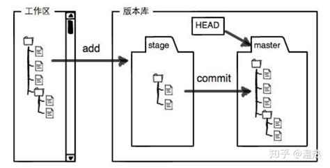弄懂git的工作区和暂存区 知乎