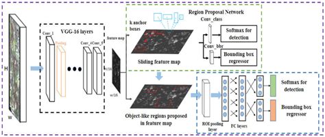 Faster R Cnn Architecture On Which This Work Is Based Download Scientific Diagram