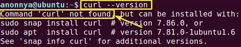 The Curl Command In Linux 9 Practical Examples LinuxSimply