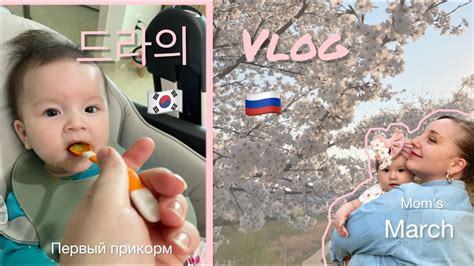 Будни русской мамы в Корее 2 часть Первый прикорм 2 러시아엄마의 일상이에요 Youtube