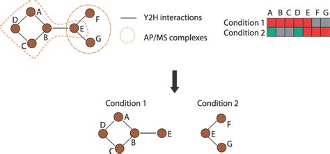 Integration Of Multiple Datasets The Integration Of A Variety Of