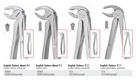 Lower Molar Extraction