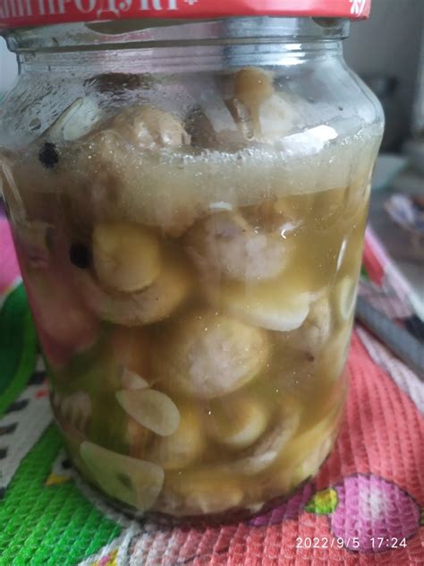 Грибы маринованные Шампиньоны по быстрому😉 рецепт с фото пошаговый от Элла Дементьева