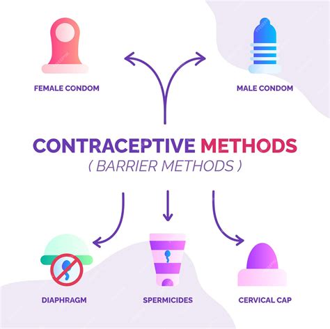 Premium Vector Contraceptive Methods Barrier Contraceptives