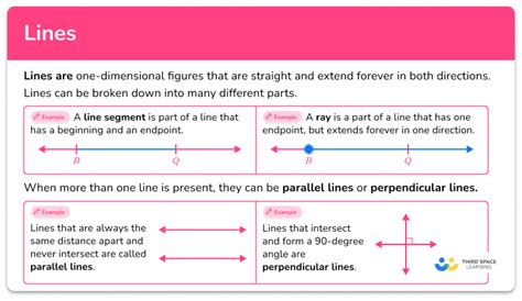Line Segment Examples