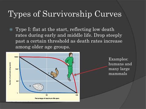 Ppt Survivorship Curves Powerpoint Presentation Free Download Id2206053