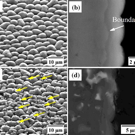 Surface Morphologies At 52° Tilt And Cross Section Microstructures Of