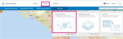 Custom Data Setup In Business Analyst