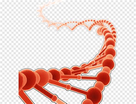 Medical Genetics Genetic Testing Mutation Genetic Disorder Love