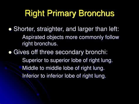 Ppt Thoracic Cavity Powerpoint Presentation Free Download Id1713264