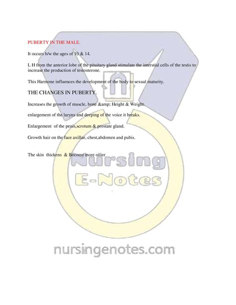 Anatomy And Physiology Of Female Reproductive System