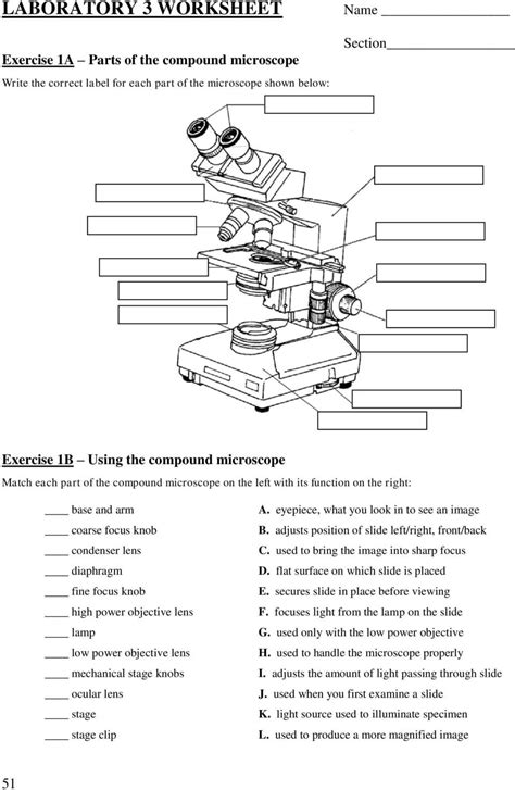 Lab 3 Use Of The Microscope Pdf — Db