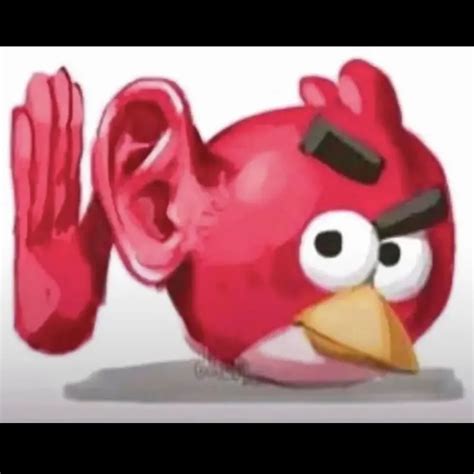 Angry Birds Ear Meme Parrot — Skinmc