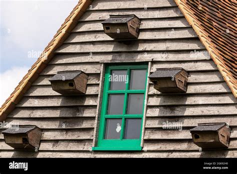Bird Box Designed For Swift Swifts Hi Res Stock Photography And Images Alamy