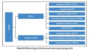 Simplify Hernia Repair Coding AAPC Knowledge Center