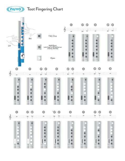 Tavola Posizioni Flauto Traverso Schemi E Mappe Concettuali Di