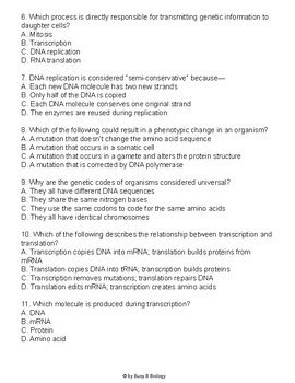 Biology Eoc Review Dna Replication And Protein Synthesis Multiple Choice