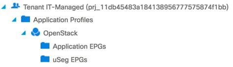 Cisco IT OpenStack ACI Data Center Automation Cisco