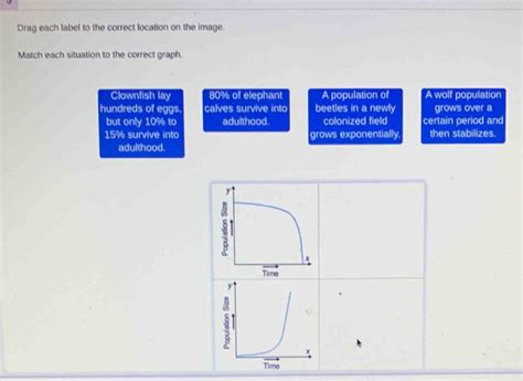 Drag Each Label To The Correct Location On The Image Match Each