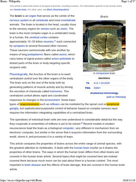 Brain Pdf Brain Neurotransmitter