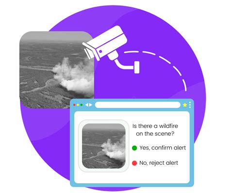 Real Time Edge Case Handling Humans In The Loop Hitl