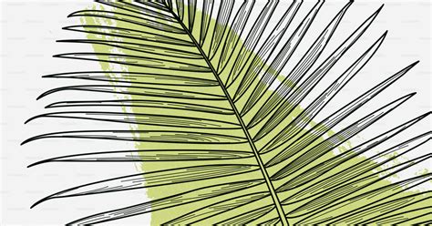 튀는 배경이 있는 야자수 잎의 라인 아트웍입니다 색상을 변경하거나 배경을 쉽게 제거할 수 있습니다 벡터 Unsplash의 라인 아트 이미지
