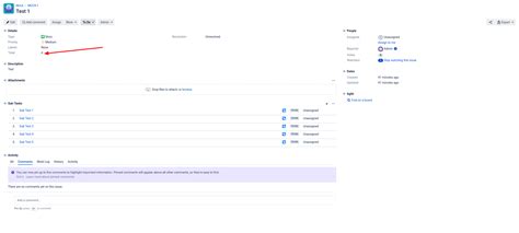 Solved Count The Custom Field Value On Subtask And Displa