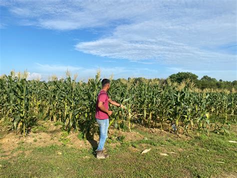 Date Of Input 31 03 2023 Updated 31 03 2023 Wazien