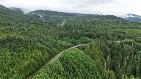 안개 속에서 울창한 녹색 산 숲을 통과하는 아스팔트 고속도로의 조감도 0명에 대한 스톡 사진 및 기타 이미지 0명 고속도로 구름 Istock