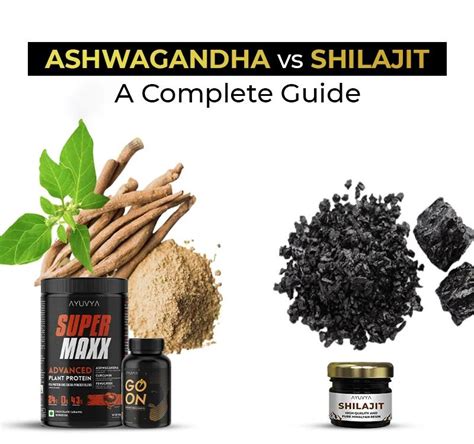 What Is The Best Combination To Take Shilajit With Milk Or Water