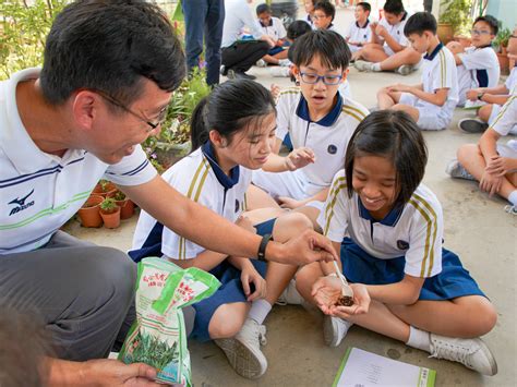 Our Mission Vision And Values