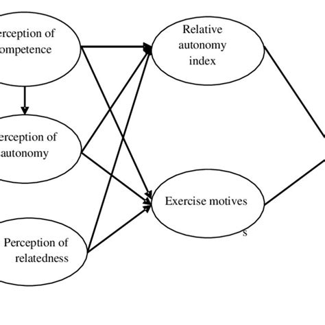 theoretical model predicting the level of physical activity behavior in
