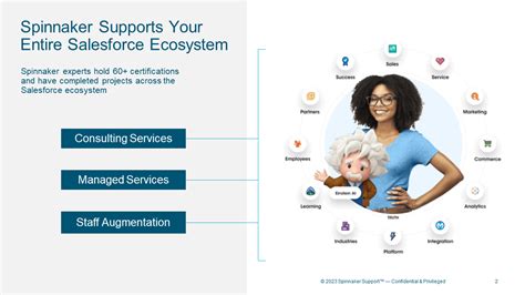 The Salesforce Expertise You Need The Service You Deserve Spinnaker Support Is The First