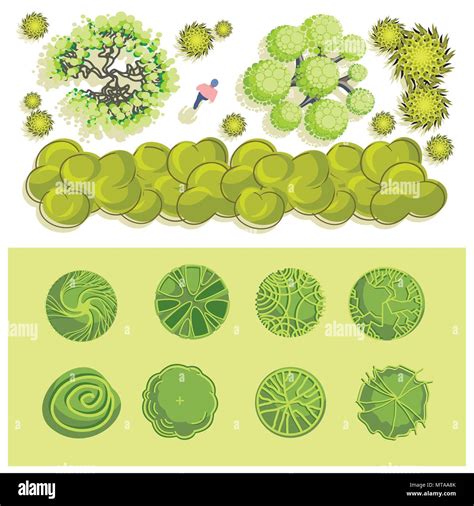 Trees And Bush Item Top View For Landscape Design Vector Icon Stock