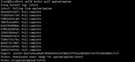 docker创建appium容器并连接夜神模拟器 cnhkzyy 博客园
