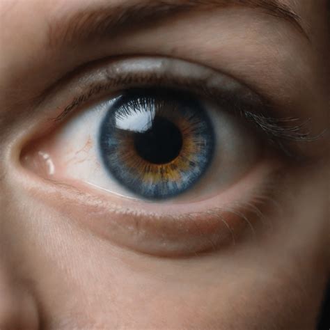 Учимся создавать веб приложения с помощью Yii Framework руководство