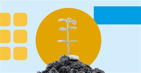 Macrium Reflect Home The Complete Backup Solution For Personal Use