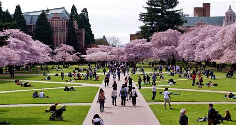 The 50 Most Beautiful Campus Quads College Rank