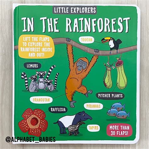 Jual Liitle Explorers In The Rainforest More Than 50 Flaps Shopee
