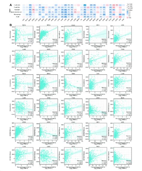 Igsf10 Expression Was Associated With Cancer Immunity A