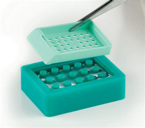 Tissue Microarray Construction Mold Kit