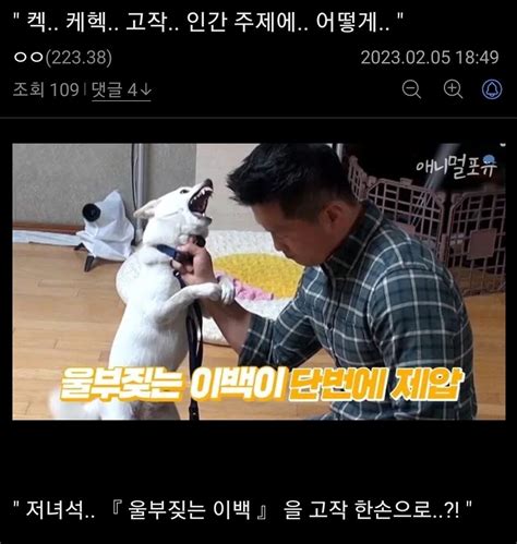 켁케헥고작 인간 주제에어떻게 유머움짤이슈 에펨코리아
