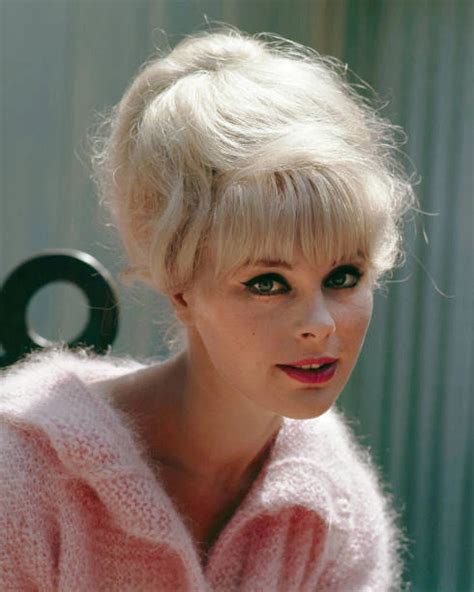 Portrait Of German Actress Elke Sommer Early 1960s Old Movie Photo Eur