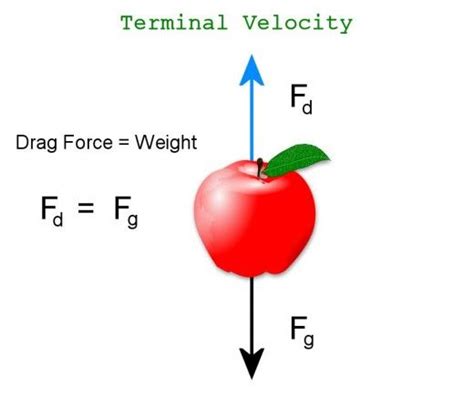 What Is Terminal Velocity Definition Formula